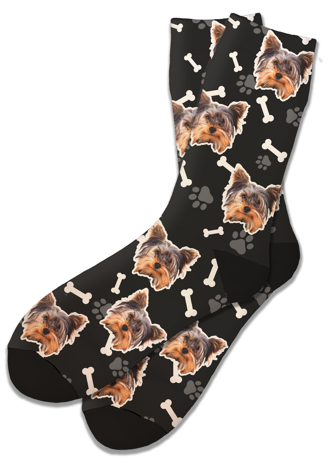 Featured Collection – Sea Panda Apparel